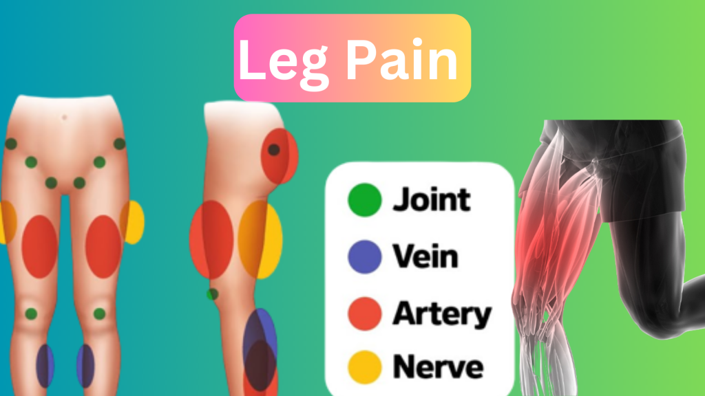 Leg Pain View: Causes, Types, Symptoms & Best Treatment