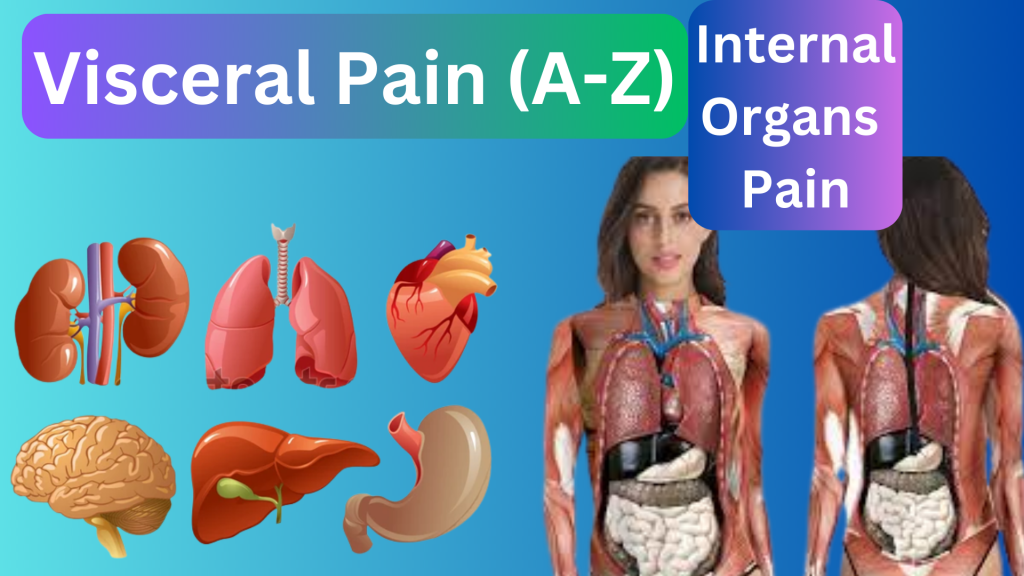 Visceral Pain Detailed About: Causes, Symptoms & Treatment Options